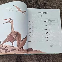 A Dinosaur A Day: A stunning new fact filled children’s illustrated ...