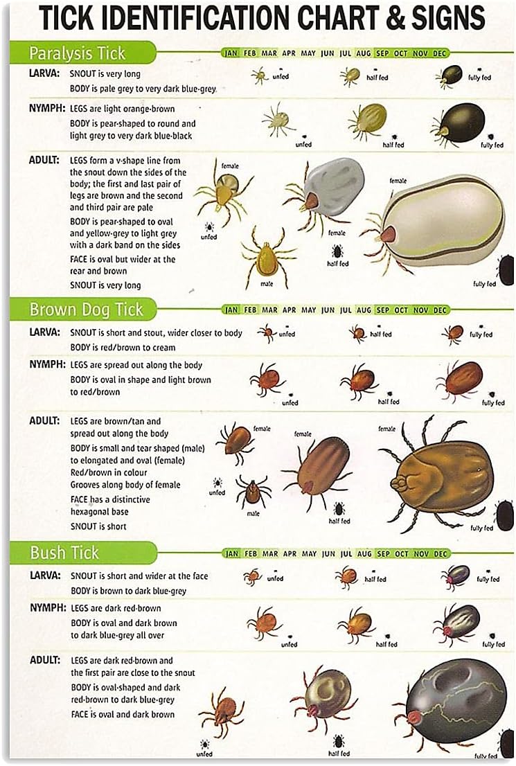 Amazon.com: JIUFOTK Tick Knowledge Metal Tin Signs Tick Identification ...