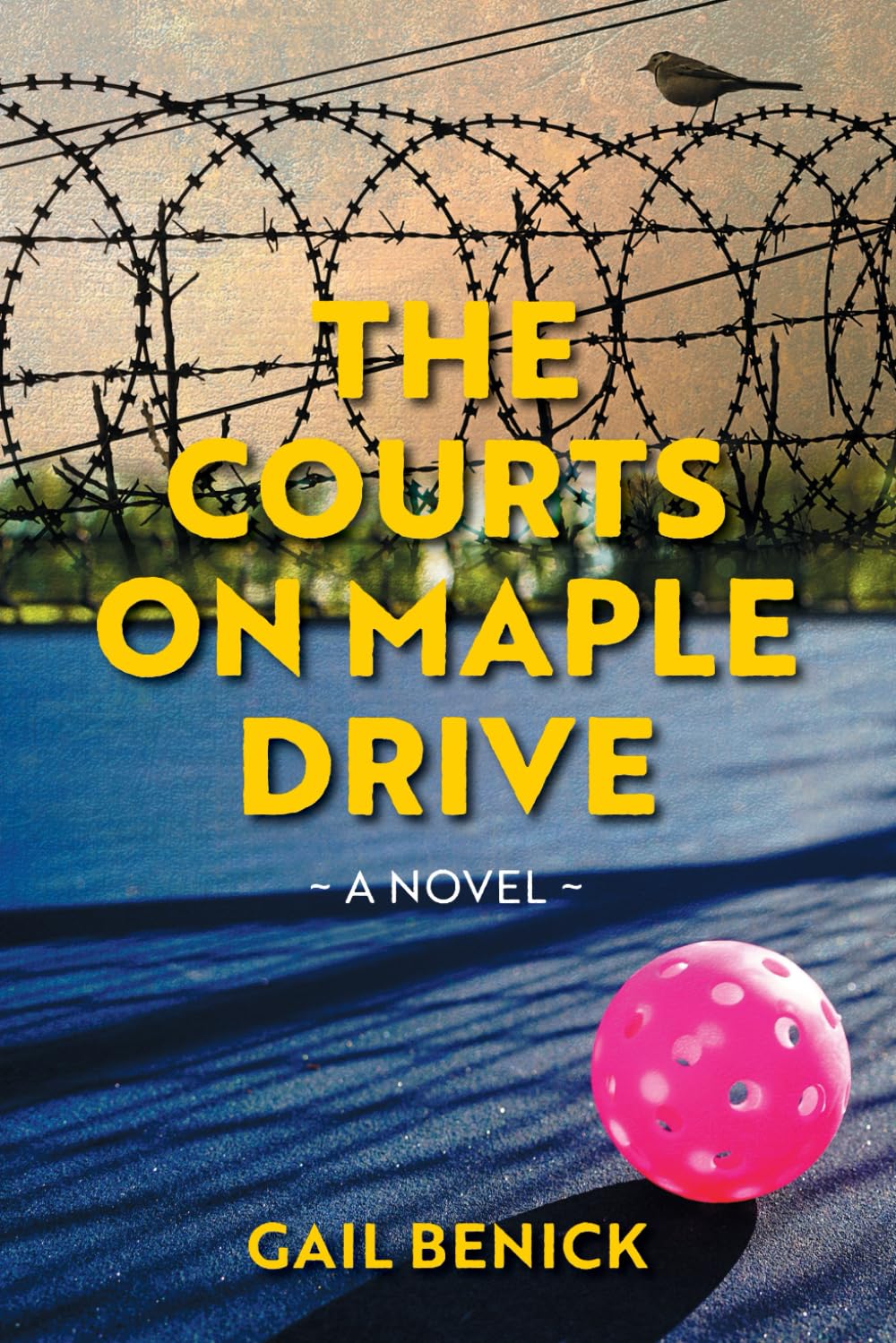 Amazon.com: The Courts on Maple Drive: A Novel: 9781771807081: Benick ...