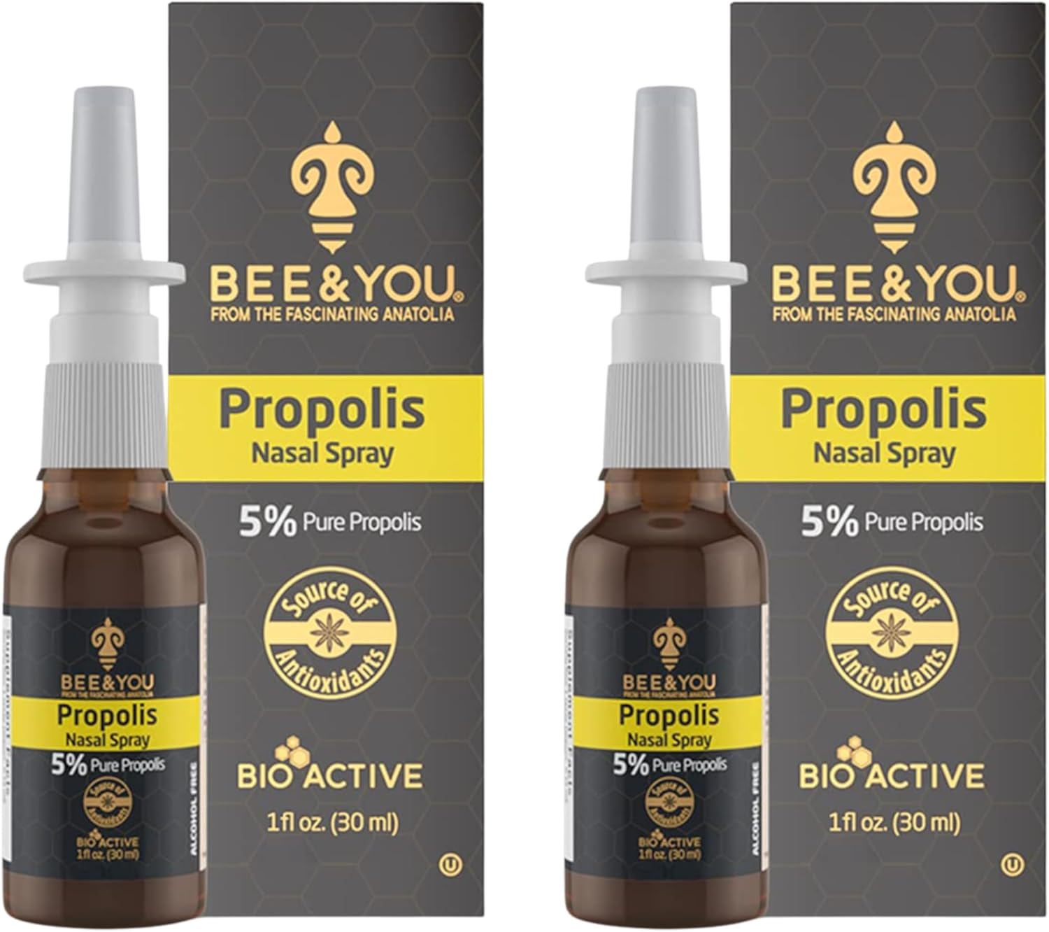 Amazon.com: Bee and You Natural Propolis Nasal Spray 1 Fl oz ...