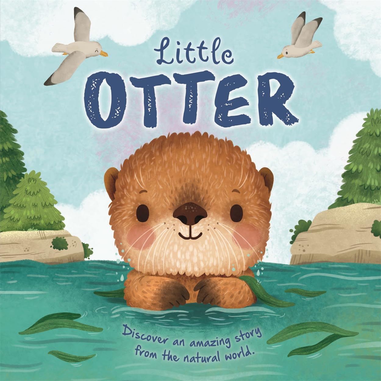 Little Otter (An illustrated story about the life-cycle of an otter ...