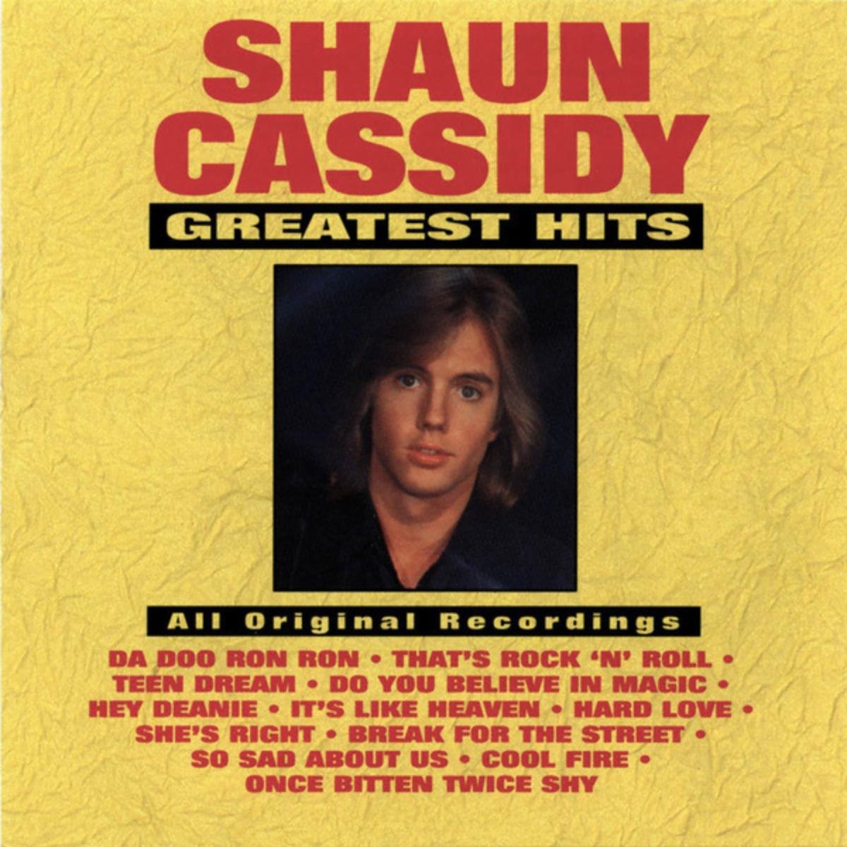 Long Sunday Afternoon / My Friend song by David Cassidy & Shaun Cassidy ...