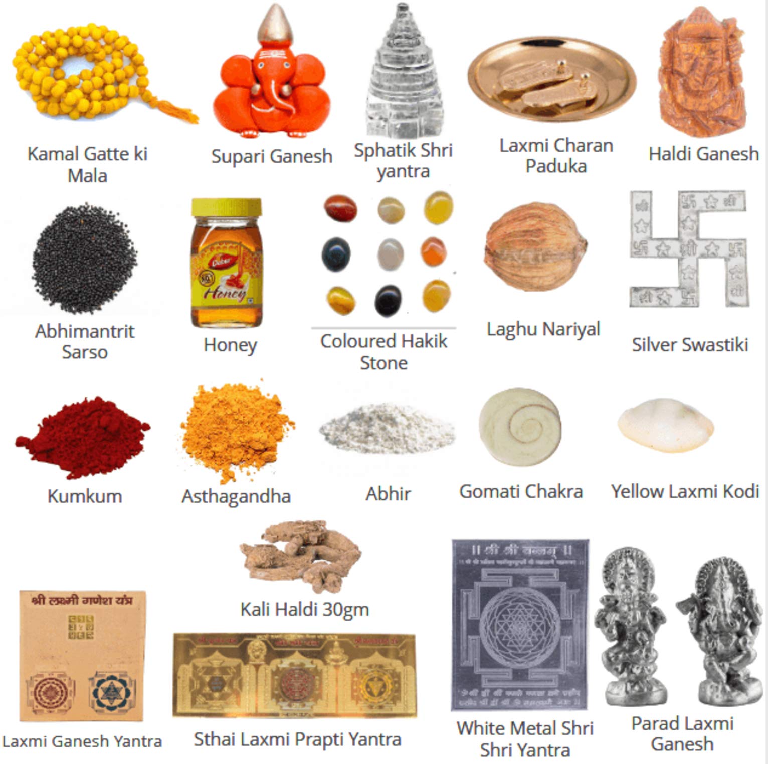 Buy PANDIT NM SHRIMALI Diwali Pooja Kit/Diwali Pooja Samagri Energised ...