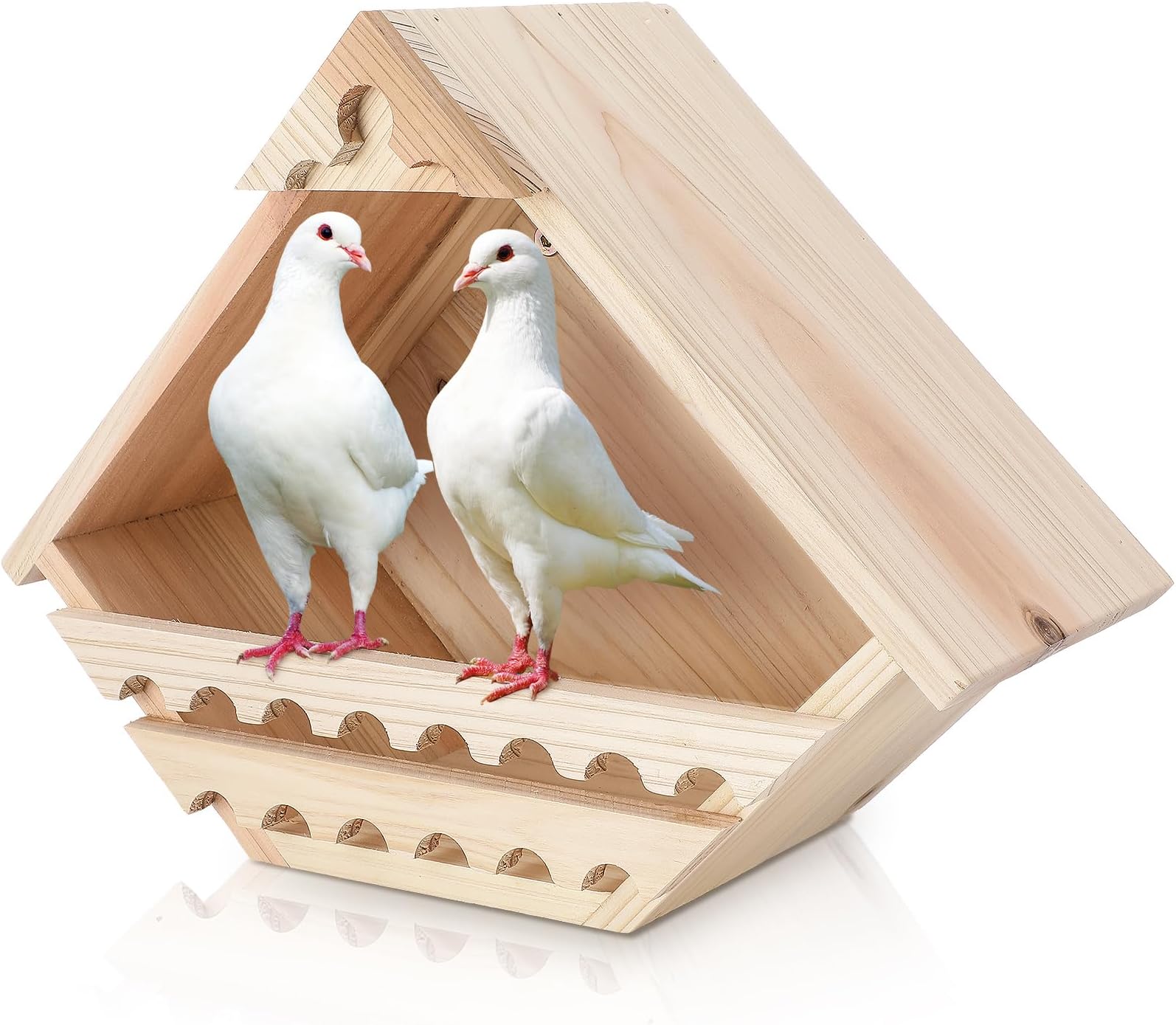 Amazon.com: DoubleFill Cedar Dove Nesting Box Dove Bird House Nesting ...