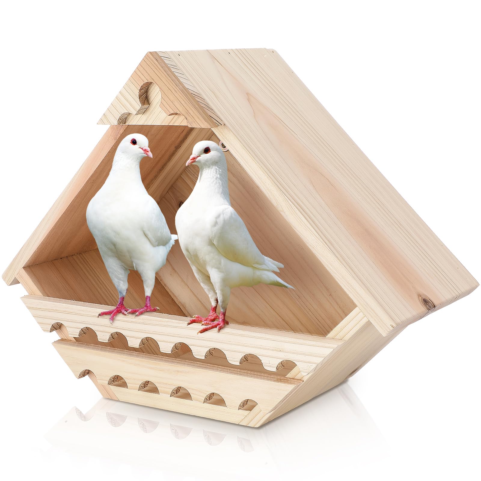 Amazon.com: DoubleFill Cedar Dove Nesting Box Dove Bird House Nesting ...