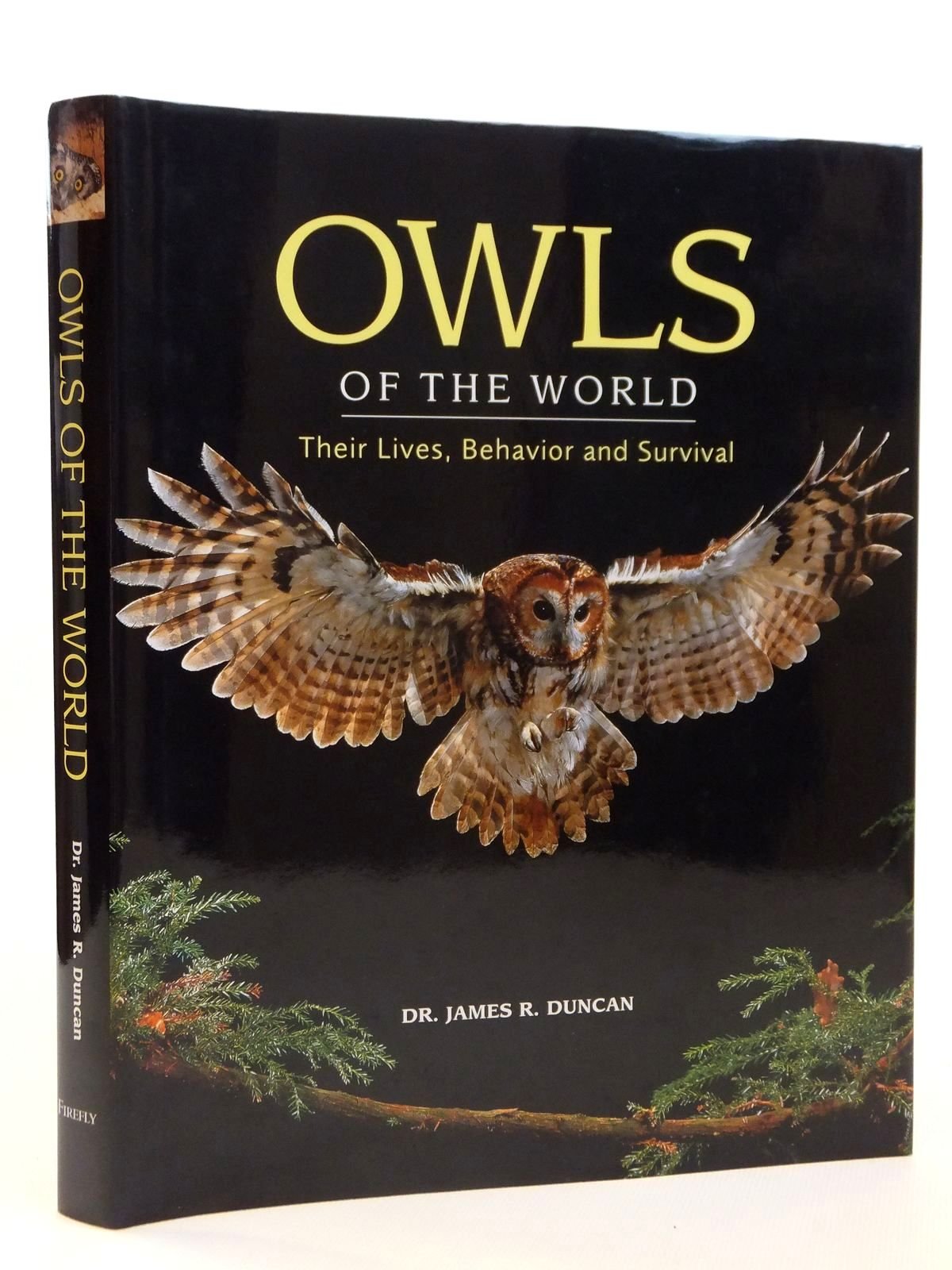Owls of the World: Their Lives, Behavior and Survival: Amazon.co.uk ...