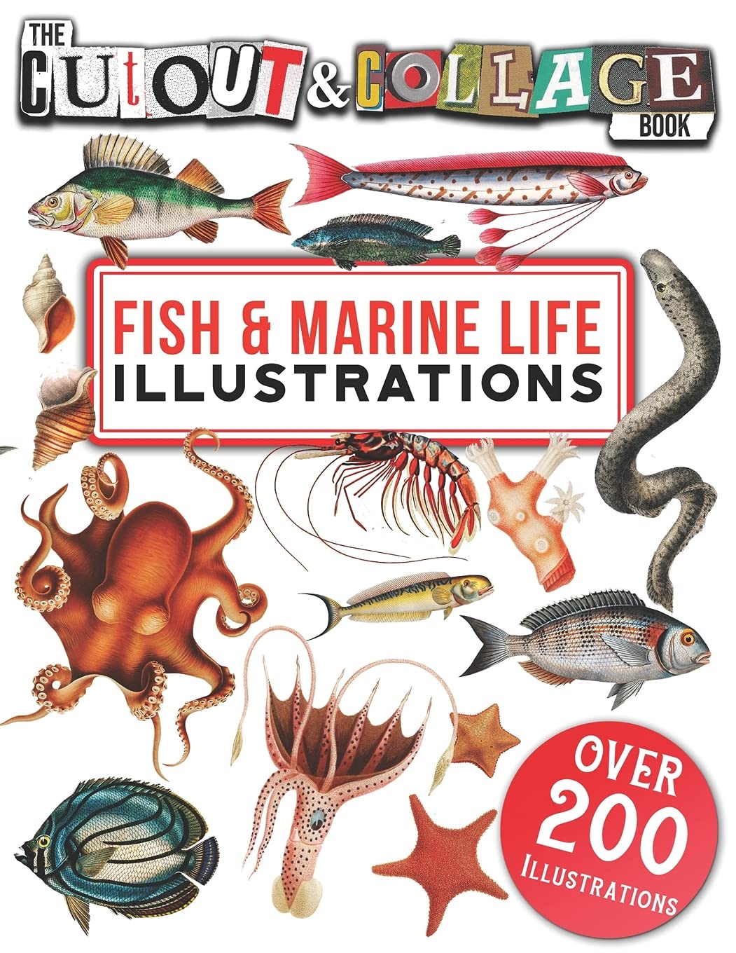 Buy The Cut Out And Collage Book Fish & Marine Life Illustrations: Over ...