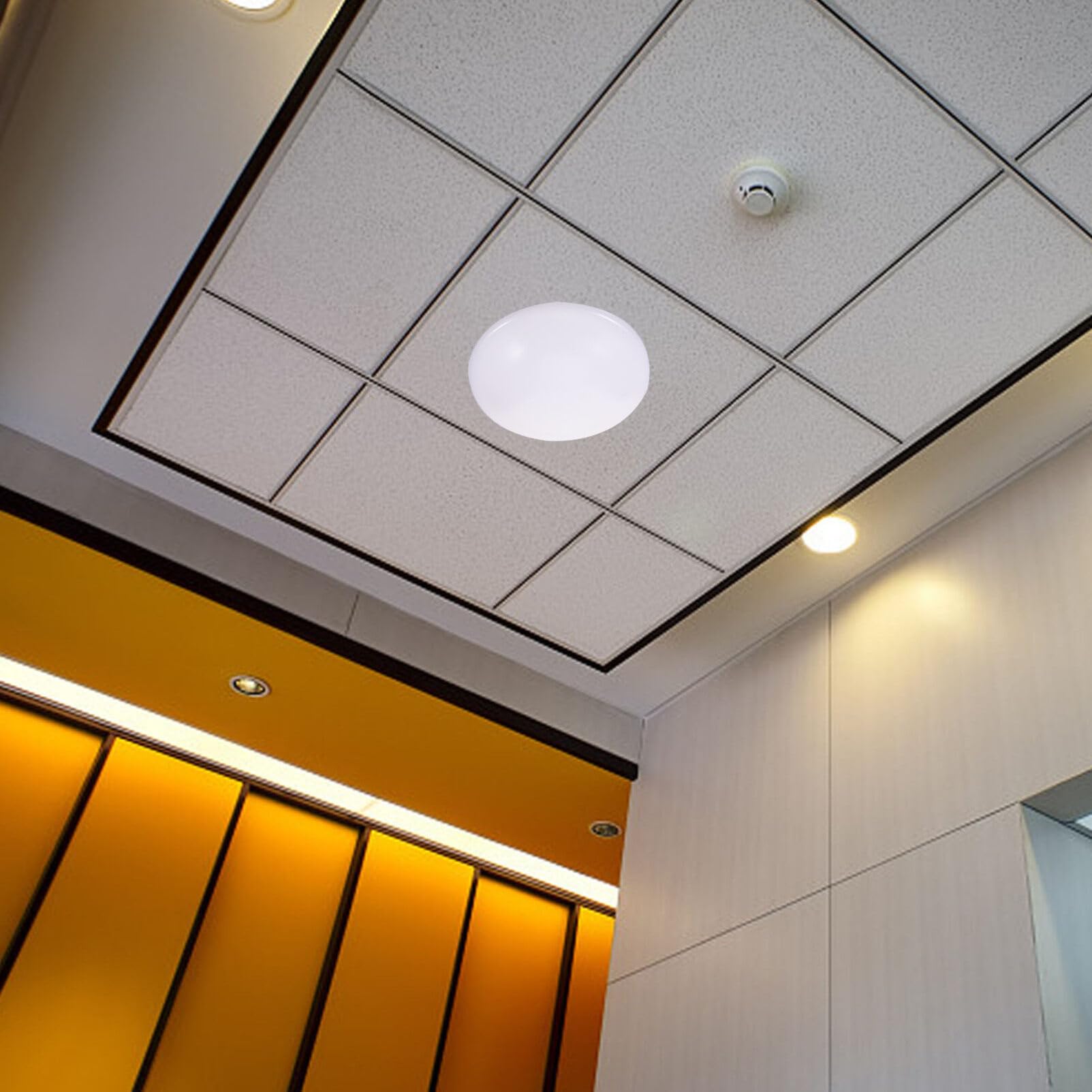 Dome Ceiling Light Panels Flush Mount Ceiling Lights The Home Depot