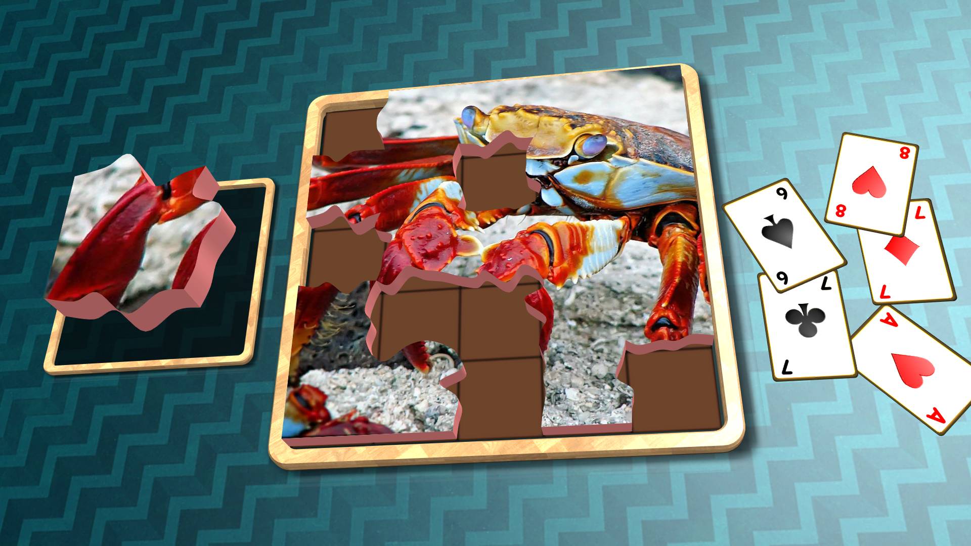 Jigsaw Solitaire Marine Life TV - App on Amazon Appstore