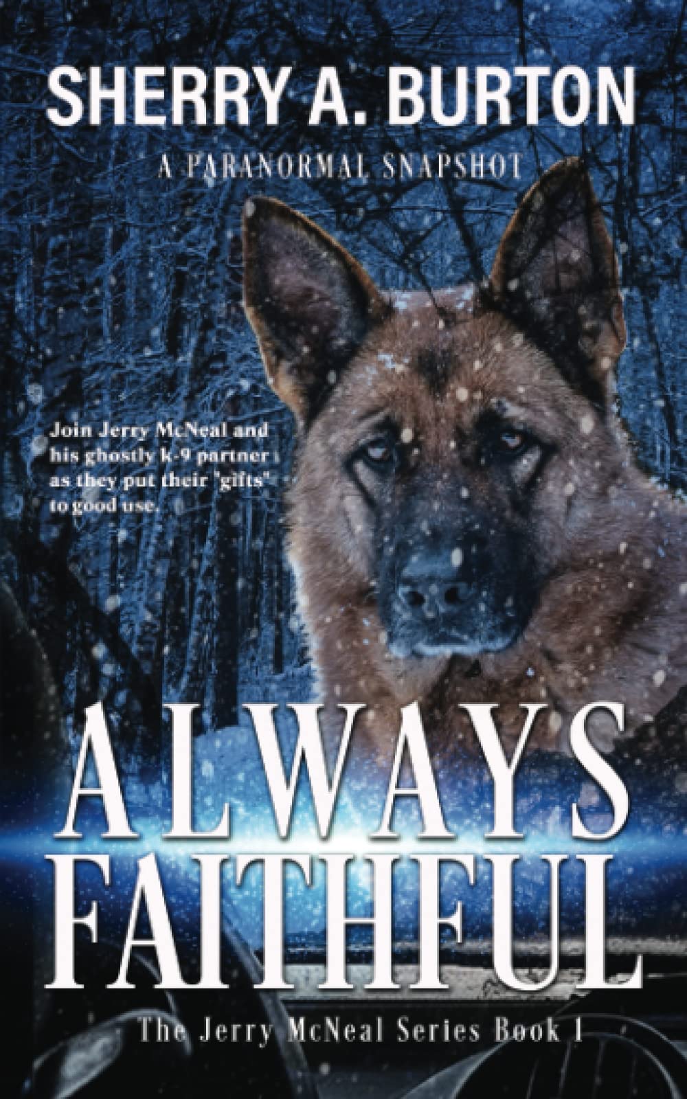 Amazon.com: Always Faithful (Jerry McNeal): 9781951386009: Burton ...