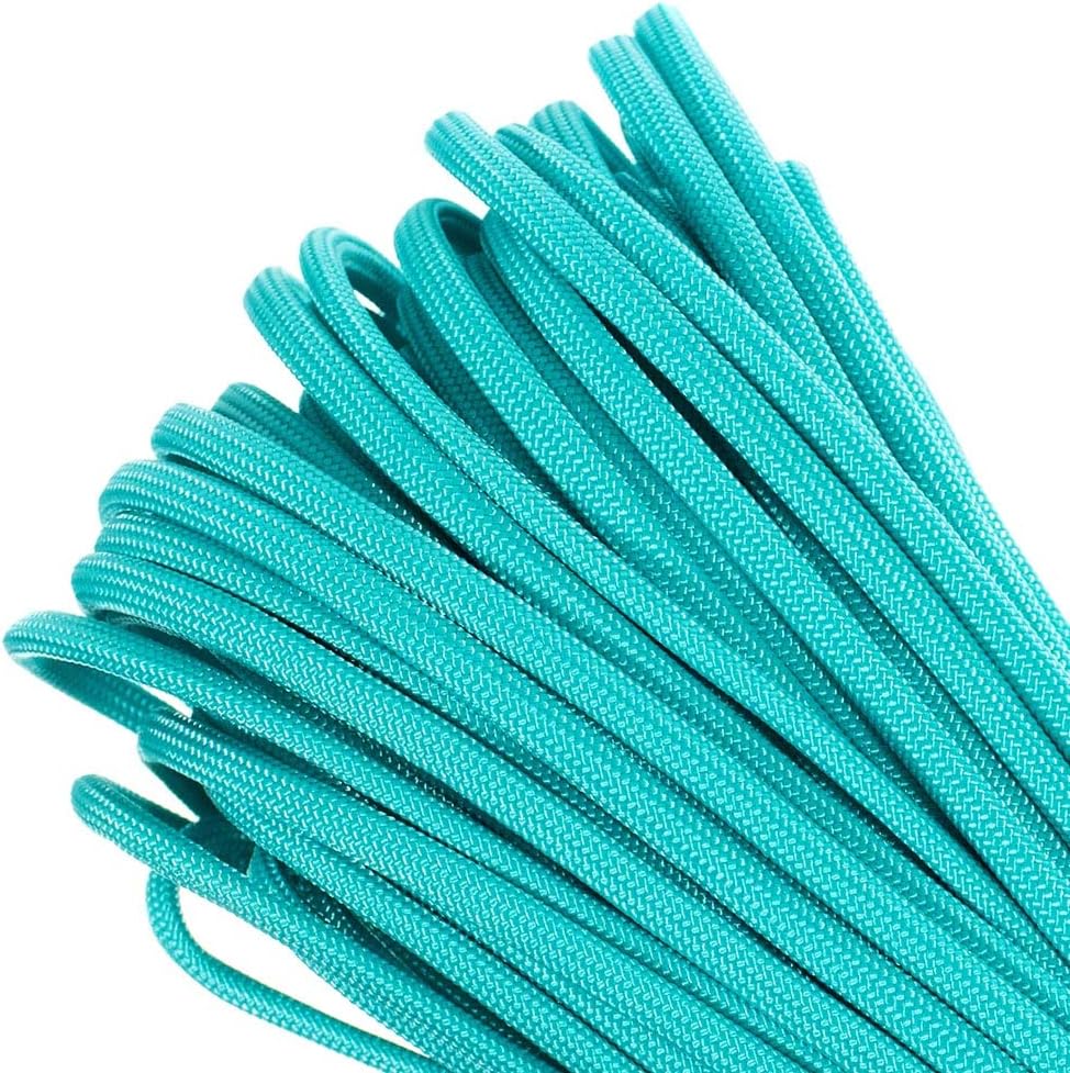 Amazon.com: 100ft Type III 7 Strand Core Paracord 550 Parachute (100 ...
