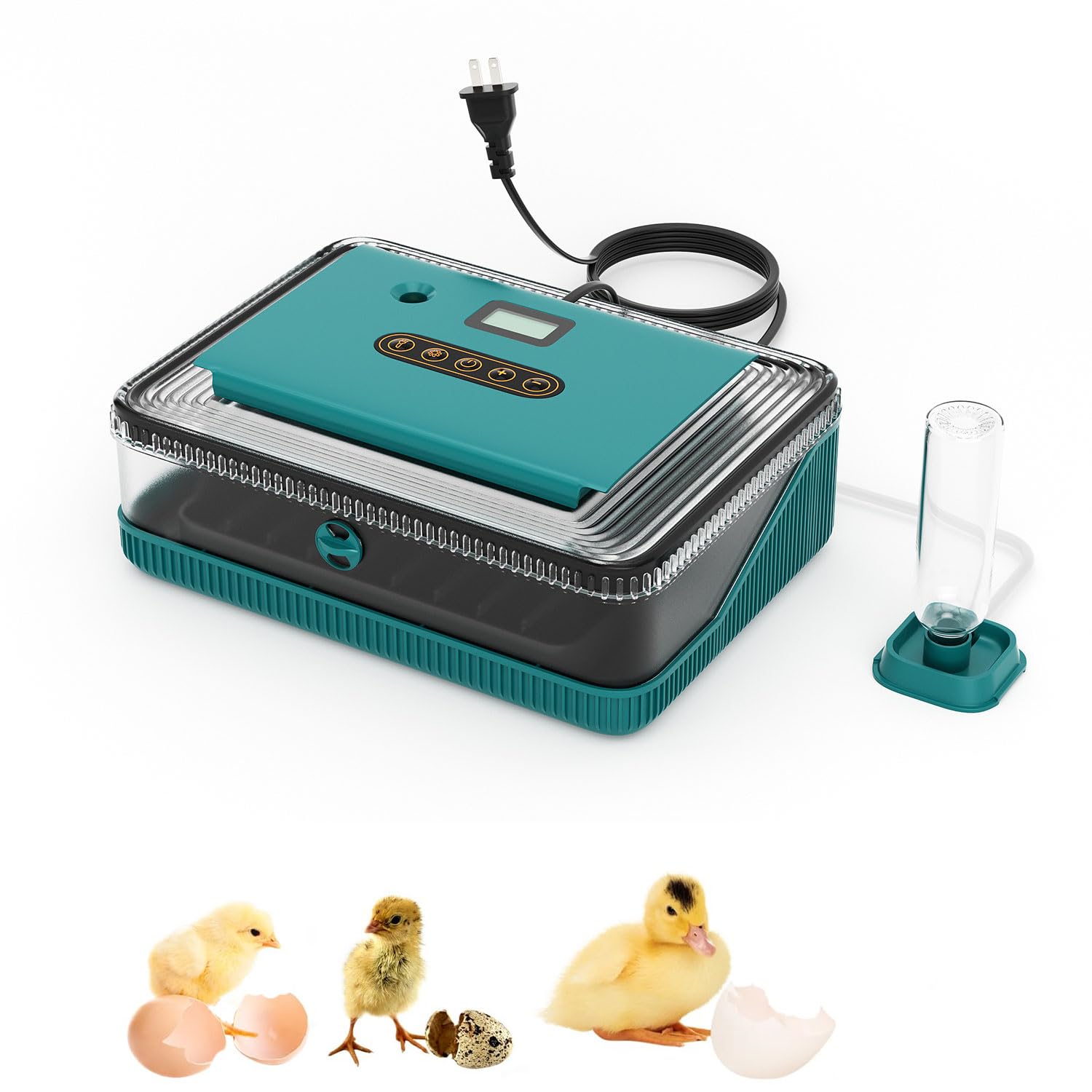 Youtemei Egg Incubator, 36 Egg Capacity, Automatic Egg Turning ...