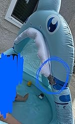 Amazon.com: Baby Pool,Shark Splash Toddlers Swimming Pool with Canopy ...