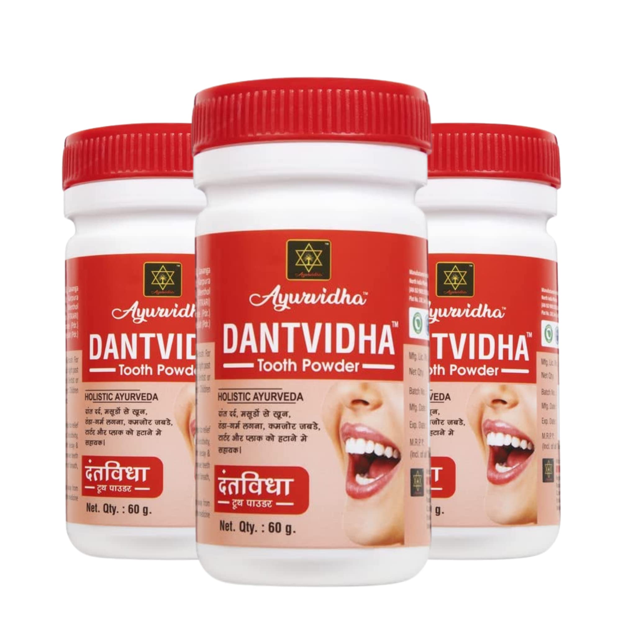 Buy Ayurvidha Dantvidha Tooth Powder For Strong and Healthy Teeth ...