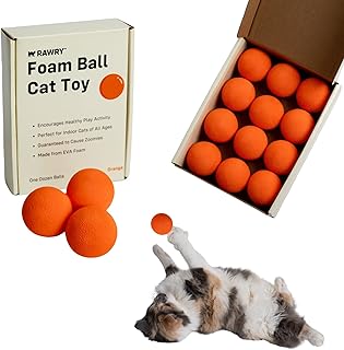 The Brainy Orange Cat: Unveiling Feline Intelligence | PetShun