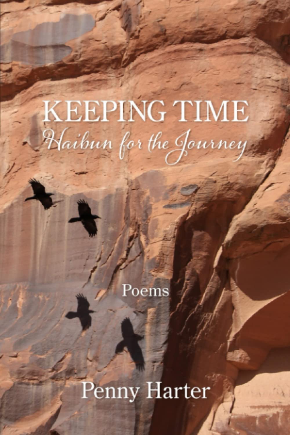 Amazon.com: Keeping Time: Haibun for the Journey: 9781639802913: Harter ...