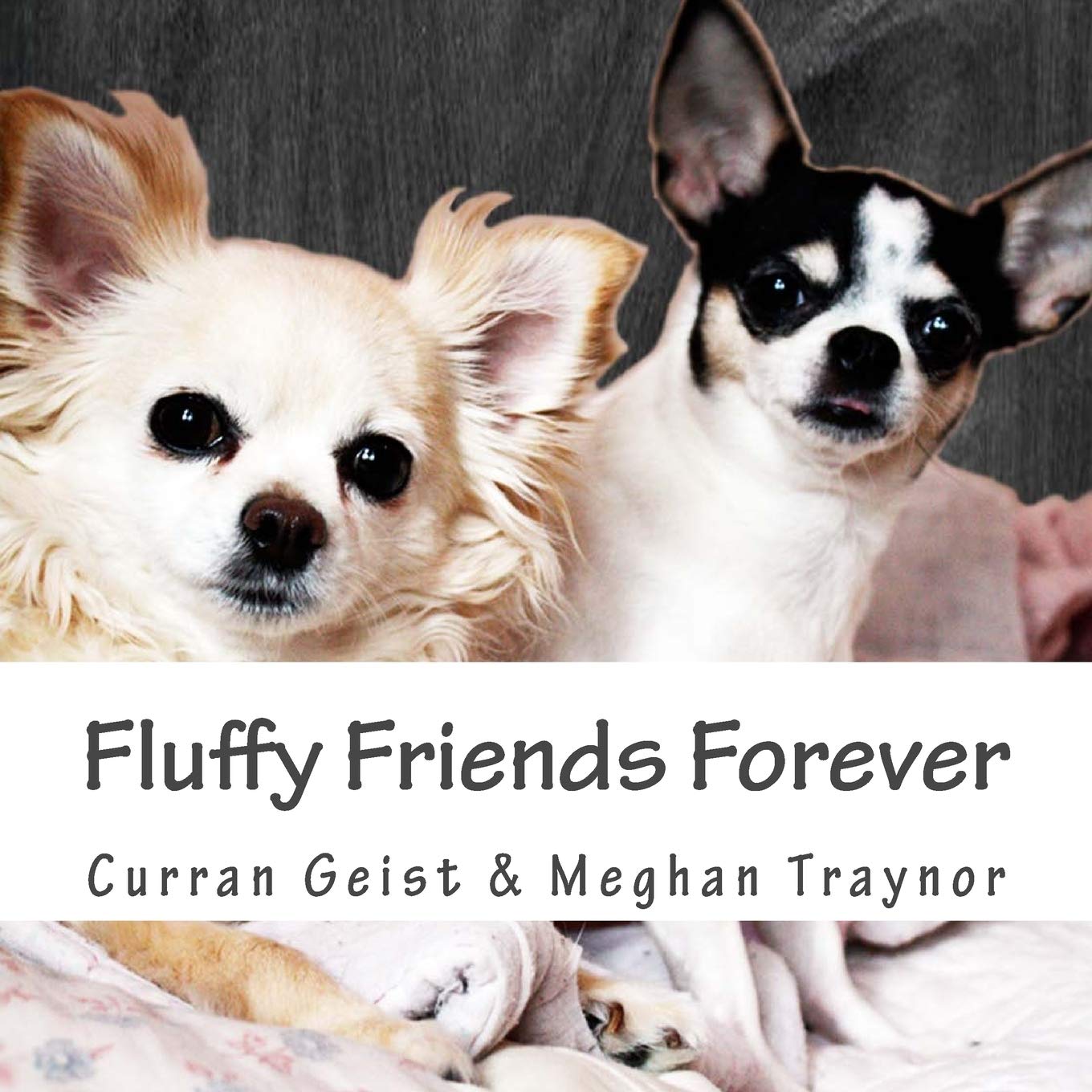 Fluffy Friends Forever (The Adventure of Bobo and Lupe): Geist, Mr ...