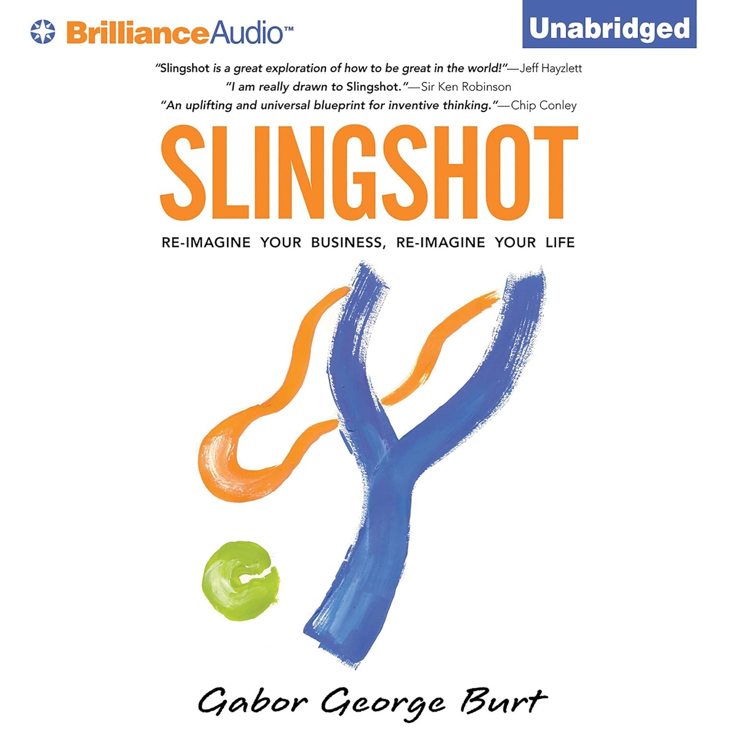 Amazon.com: Slingshot: Re-Imagine Your Business, Re-Imagine Your Life ...