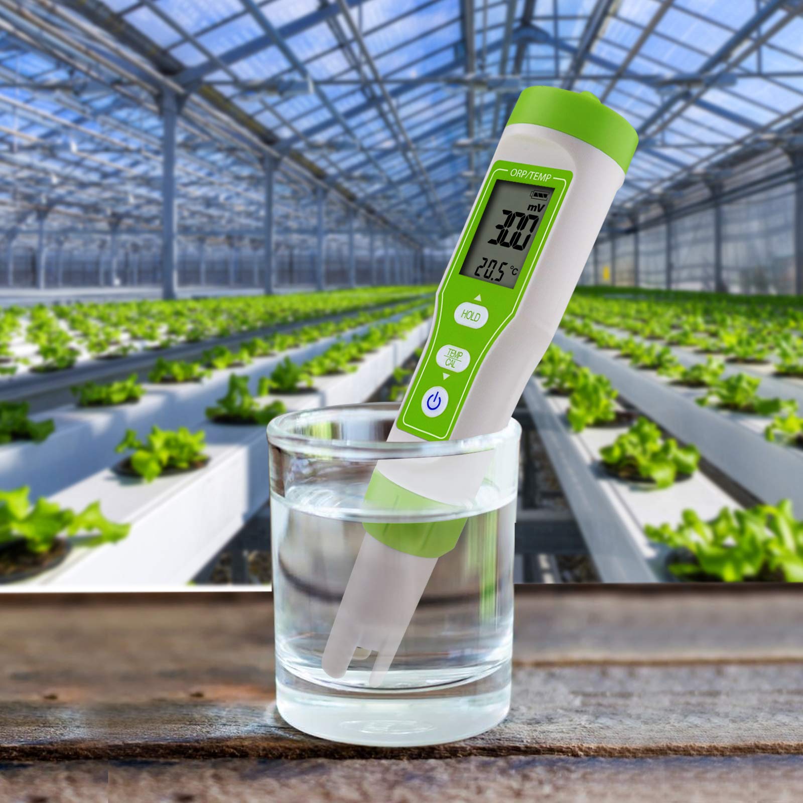 Snapklik.com : 2 In 1 ORP & Temperature Meter, Digital ORP Meter