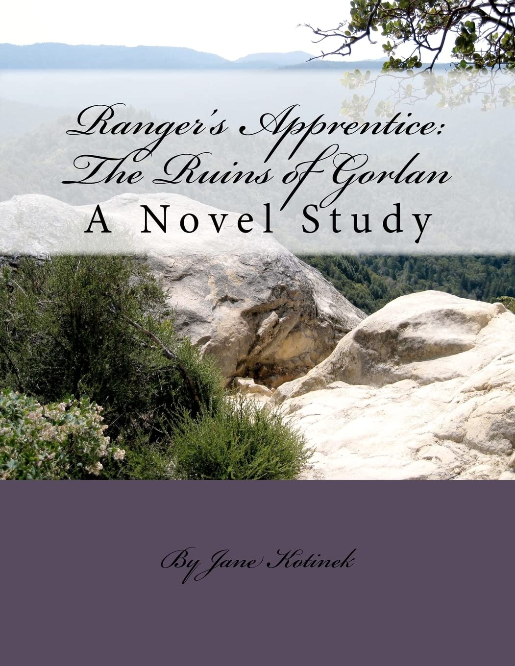 Ranger's Apprentice: The Ruins of Gorlan A Novel Study: Kotinek, Jane ...