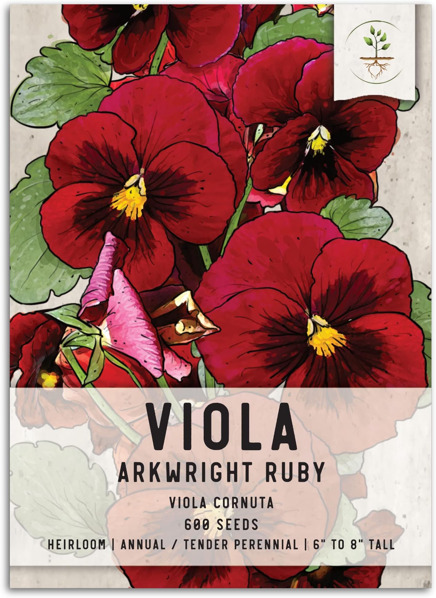 Amazon.com : FUN AND GROW SEEDS: Seeds Viola Swiss Mix Perennial ...