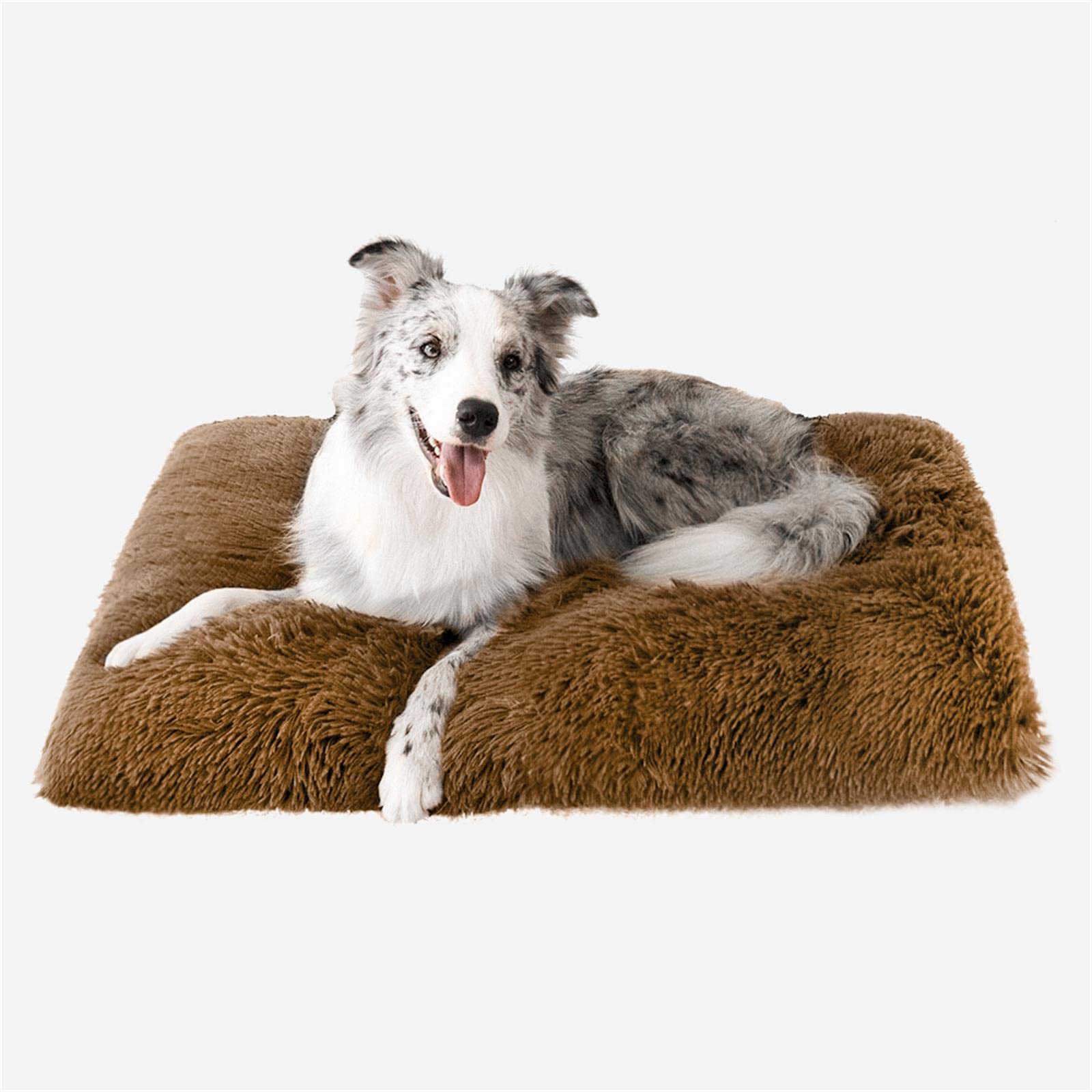WELLYELO Medium Dog Bed Fluffy Plush Dog Beds for Medium, Small Dogs ...