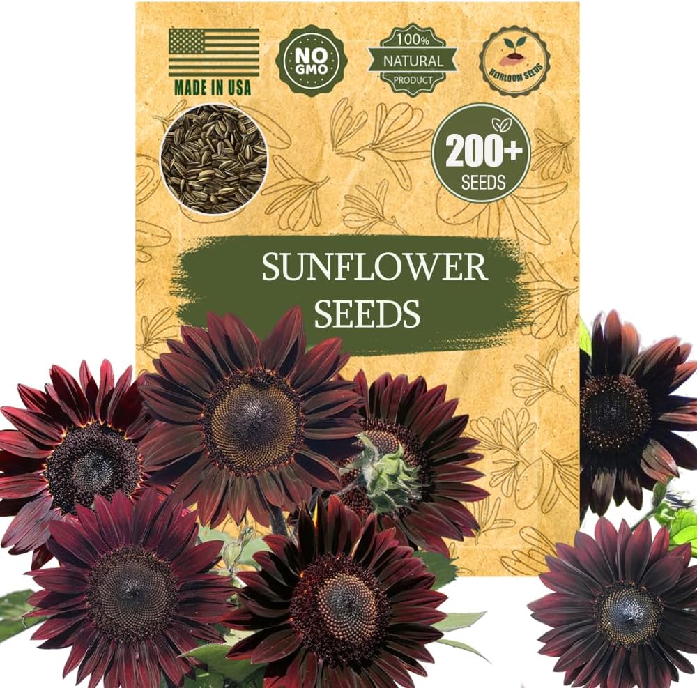 Amazon.com : Rare Sunflower Seeds for Planting — 200+ Non-GMO, Heirloom ...
