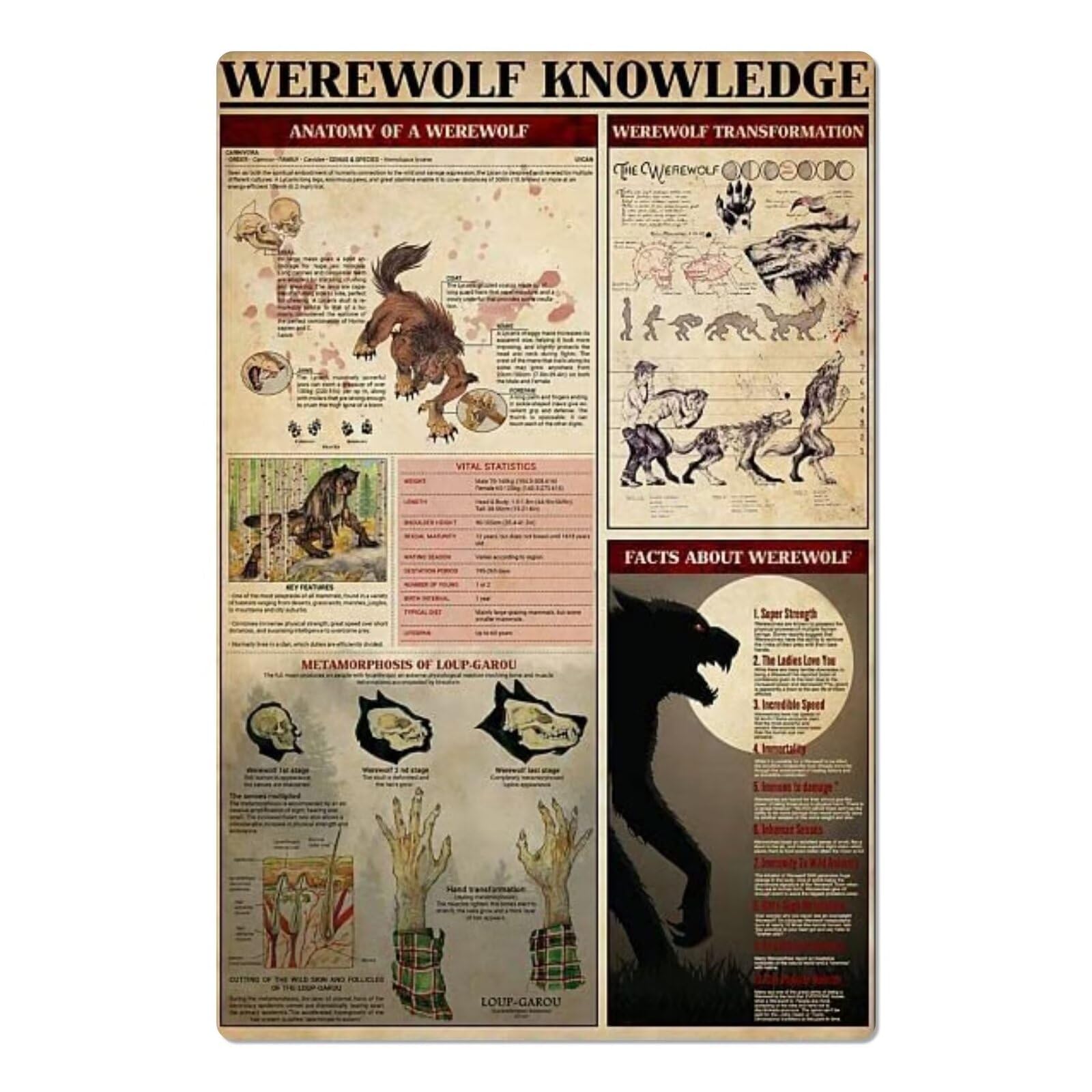 Amazon.com : Werewolf Knowledge Metal Tin Signs Werewolf Reference ...