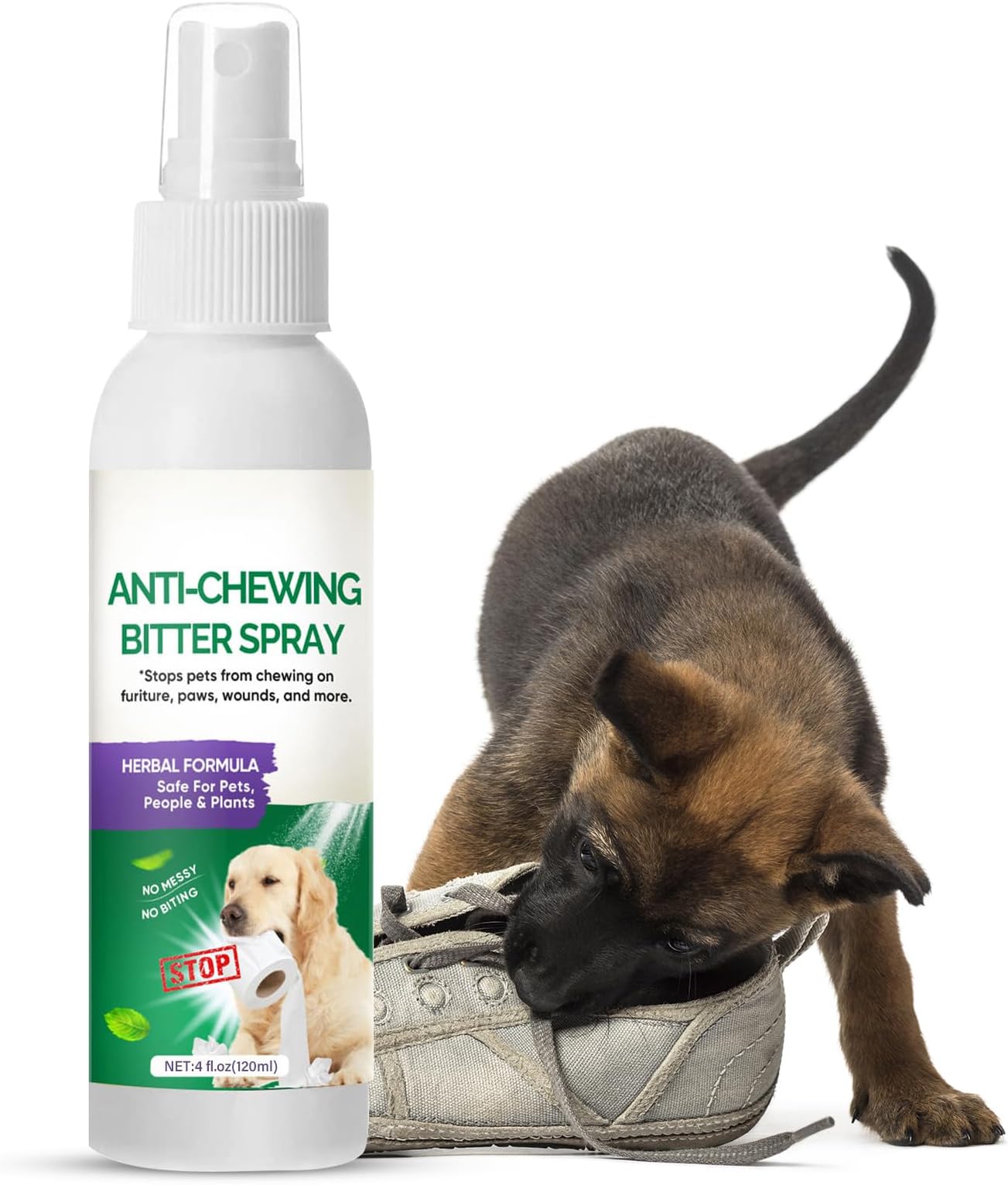 Amazon.com : Premier Pet Bitter Apple Spray for Dogs to Stop Chewing ...