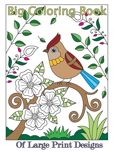 Big Coloring Book of Large Print Designs: Coloring Books, Lilt Kids ...