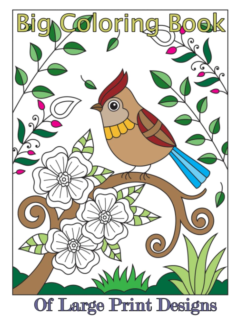 Big Coloring Book of Large Print Designs: Volume 42 (Premium Adult ...