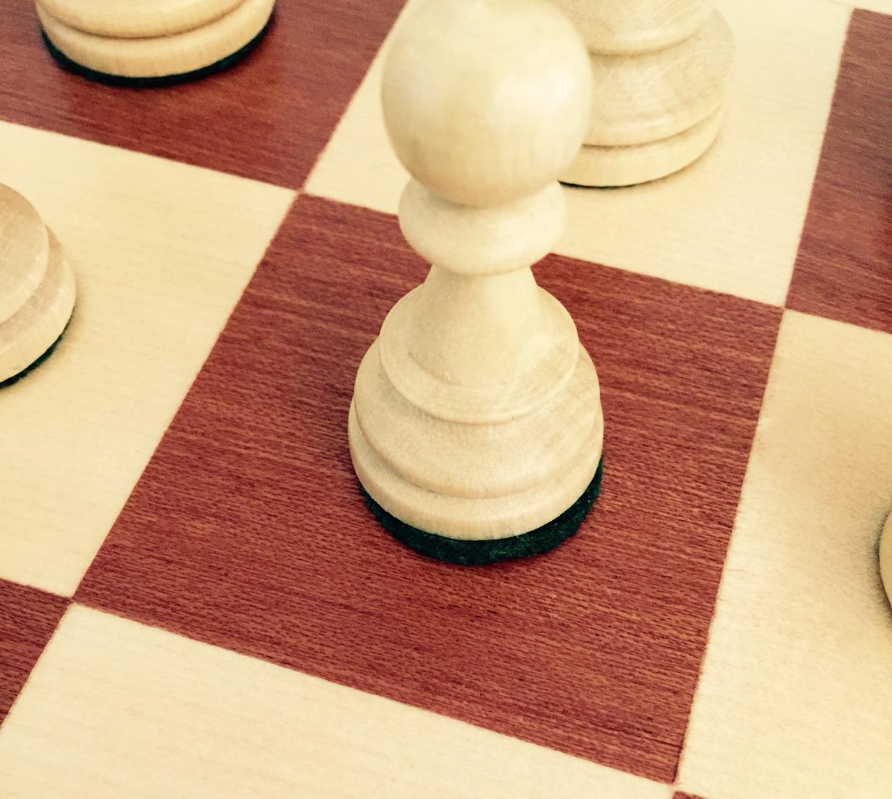 Amazon.com: Wegiel Handmade European Professional Tournament Chess Set ...