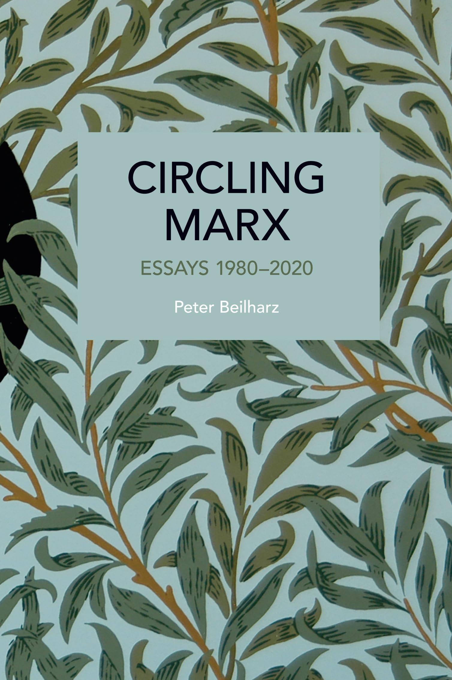 Circling Marx: Essays 1980-2020 (Historical Materialism): Beilharz ...