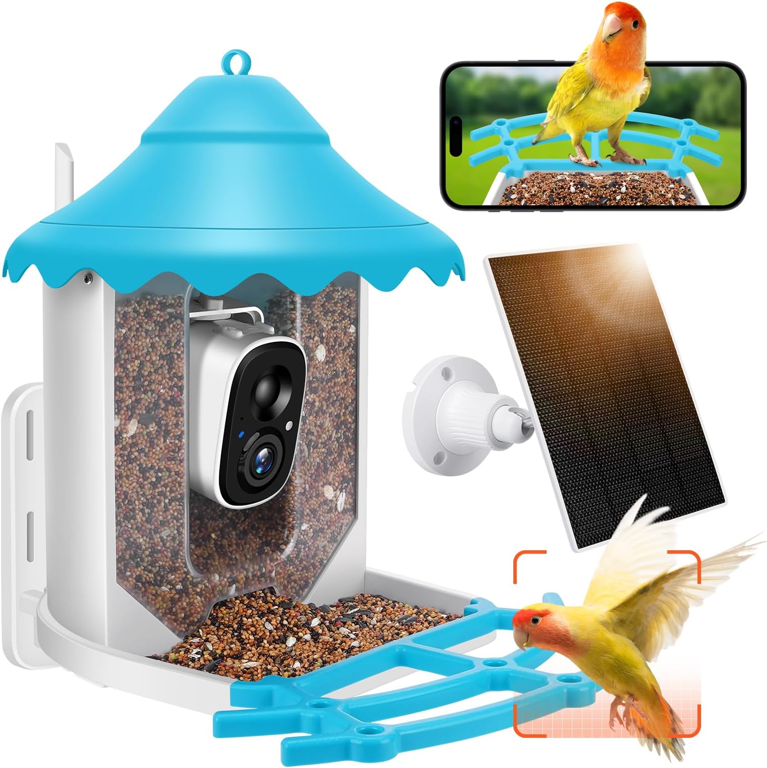 Amazon.com : Solar Smart Bird Feeder Camera with Motion Activated ...