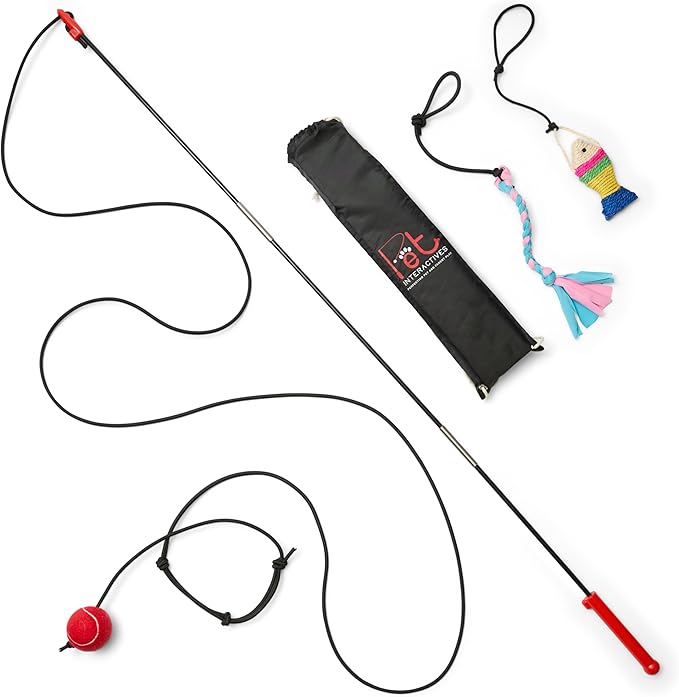 Amazon.com : Pet Interactives Flirt Pole for Dogs- Light Sturdy ...