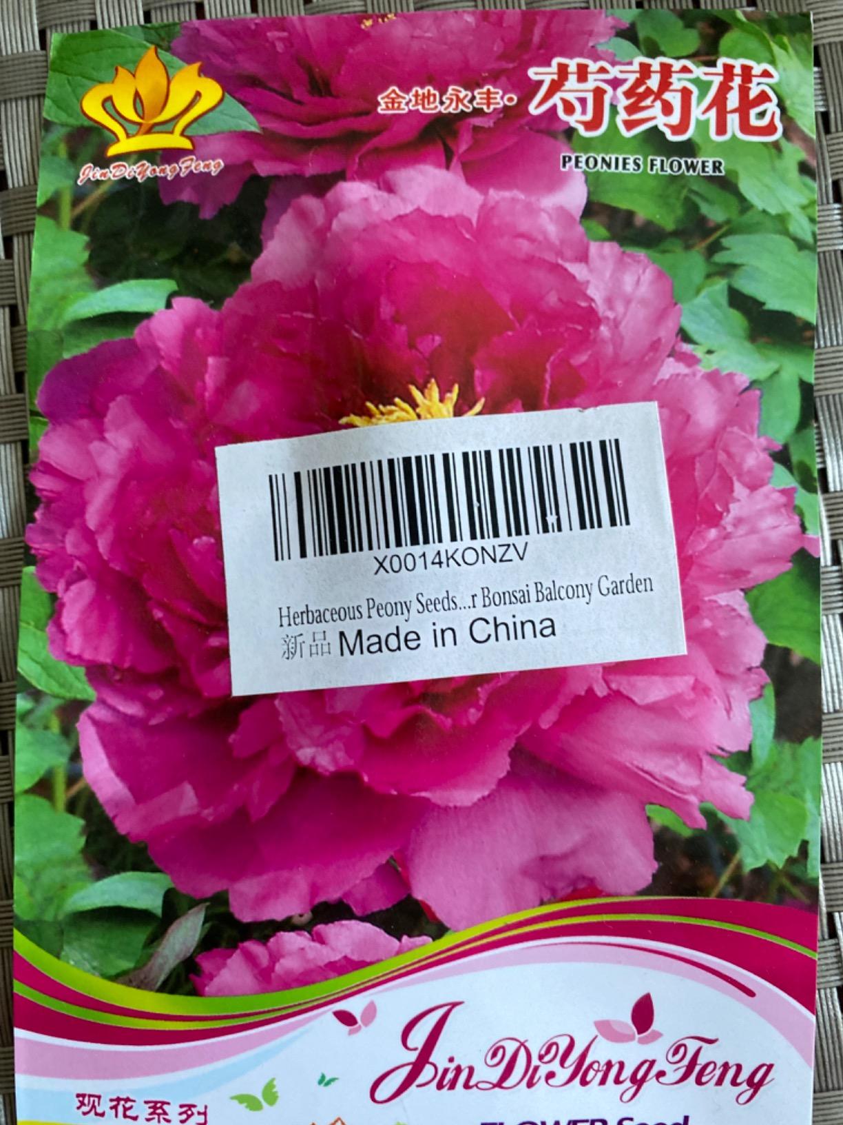 Herbaceous Peony Seeds 5+ Organic Paeonia Lactiflora Pall Flowers ...