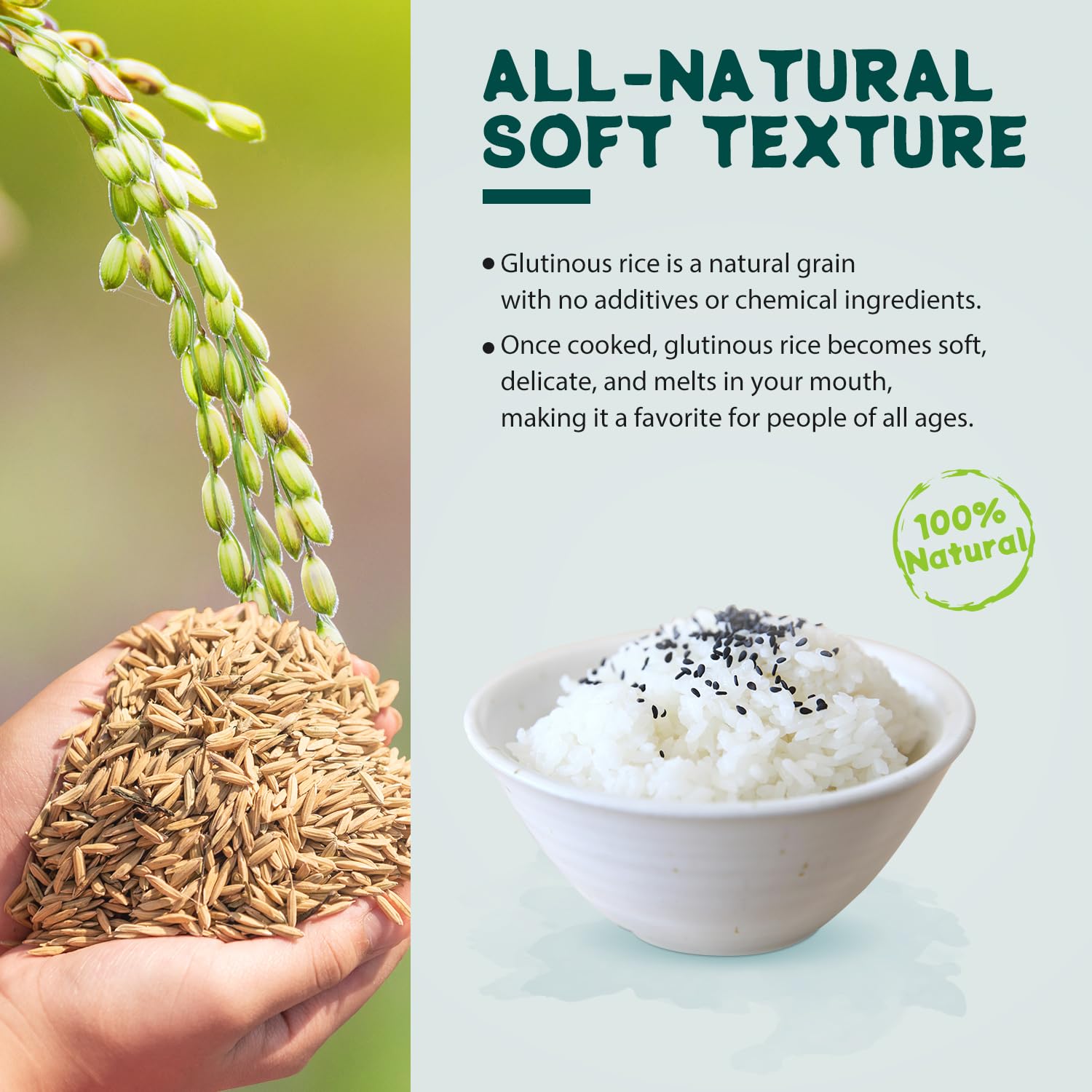 Snapklik.com : Sweet Sticky Rice 2lbs, Premium Glutinous Rice, All ...