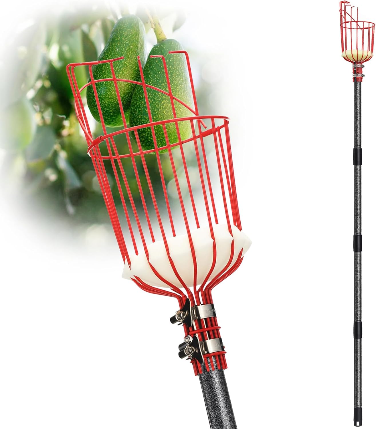 Amazon.com : DonSail Fruit Picker Pole with Basket Telescoping, Citrus ...