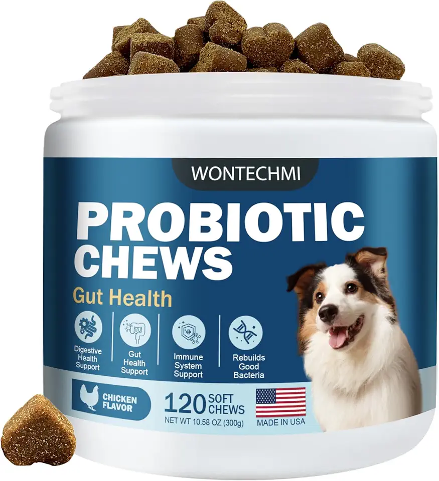 Probiotics For Dogs: Treating Ear Infections Naturally | PetShun