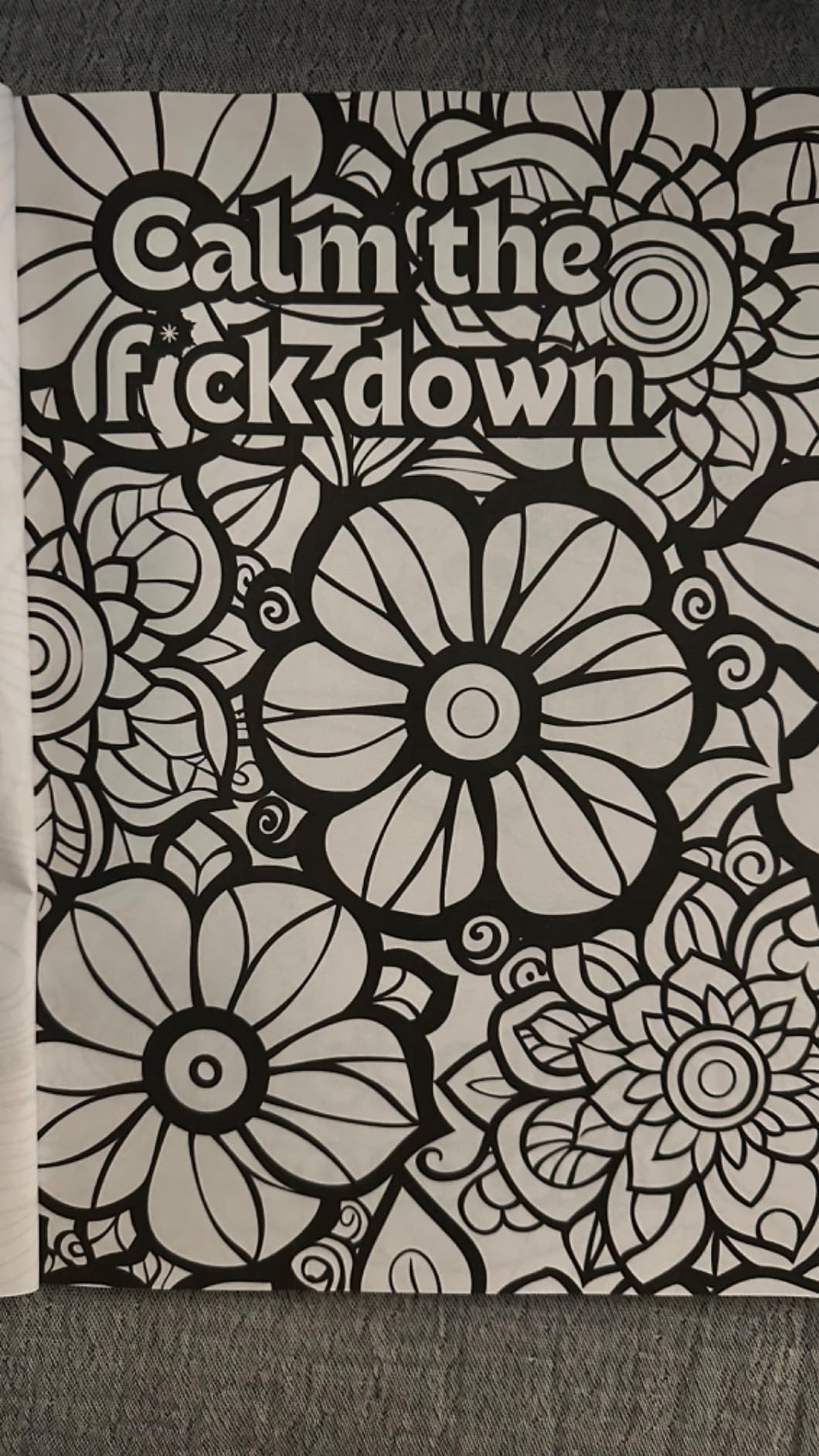 Amazon.com: Ultimate Swear Word Coloring Book for Adults: Hilarious and ...
