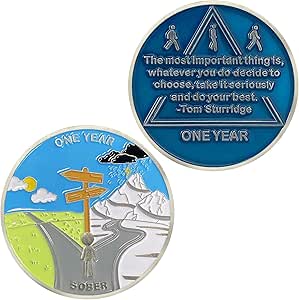 12 Months Sobriety Coin AA Chips and Medallions,Sobriety Recovery Chip ...