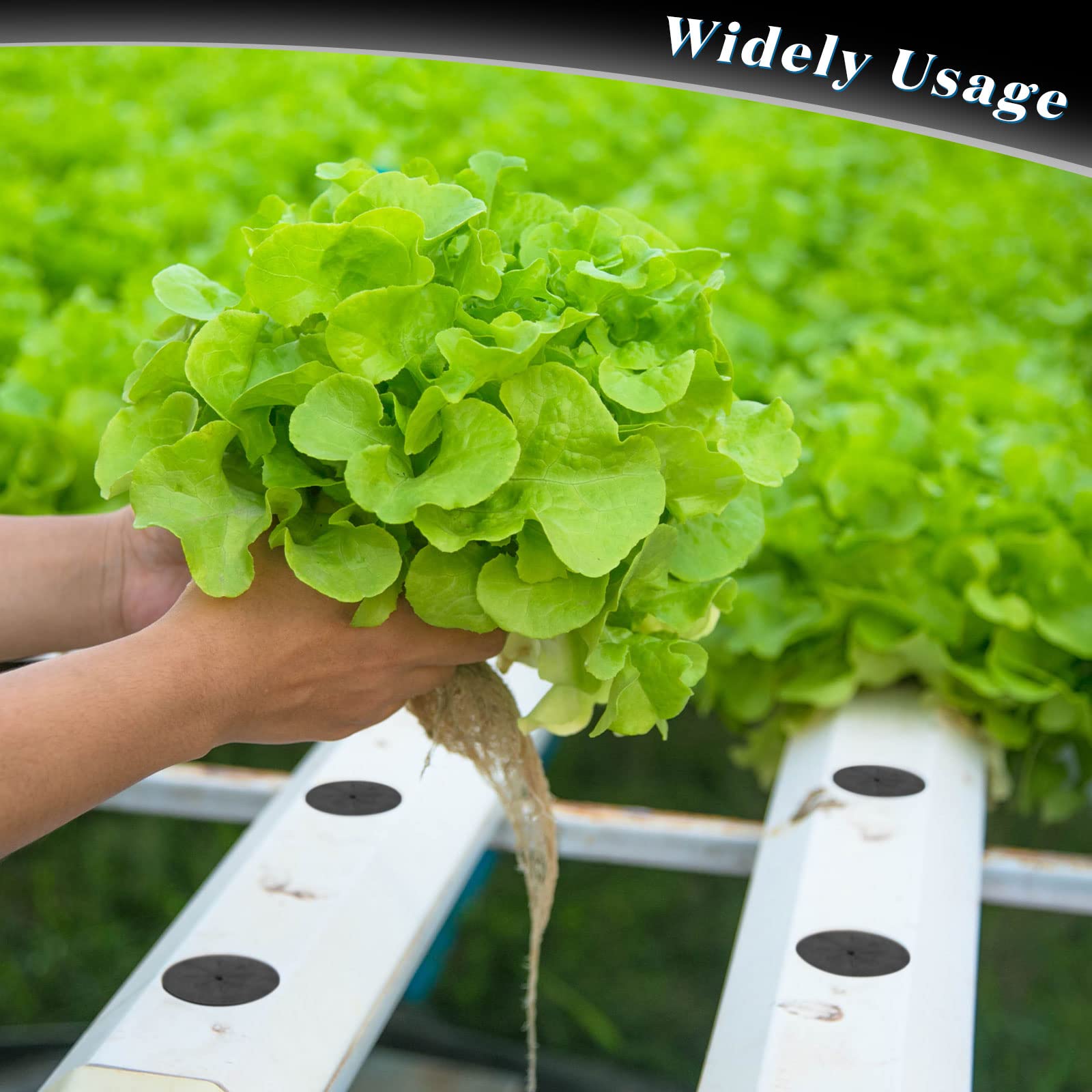 Snapklik.com : Lallisa 360 Pcs Clone Collars 2 Inch Foam Inserts For ...