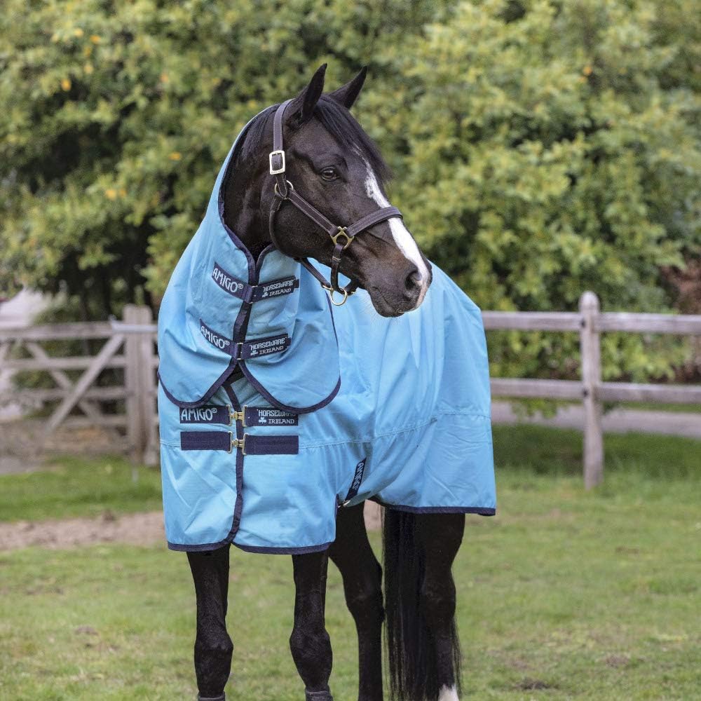 Amazon.com : Amigo Hero Ripstop Plus 100g 75 Blue/Navy : Pet Supplies