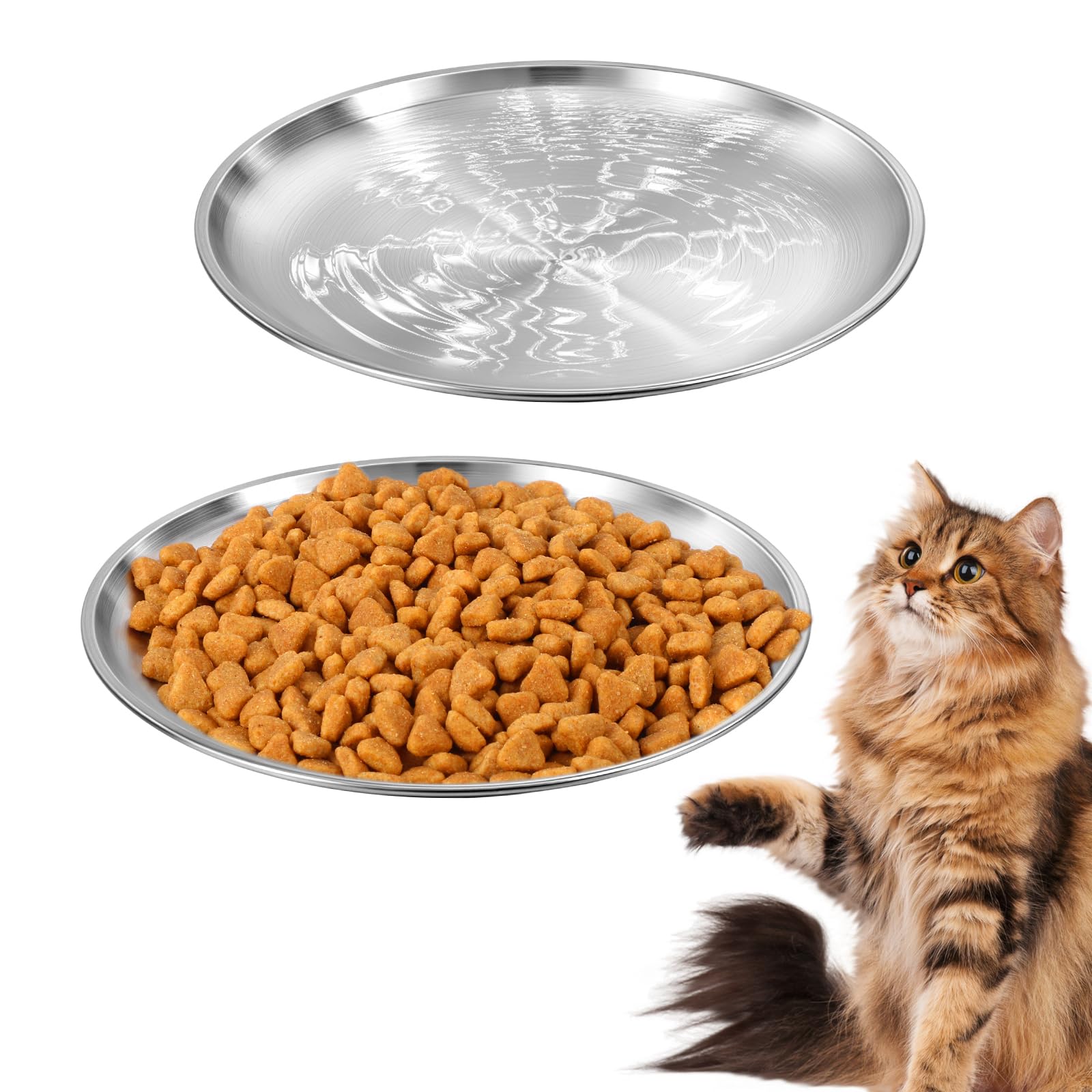 Amazon.com : YUXIANLB 2Pcs Stainless Steel Cat Dishes for Food and ...