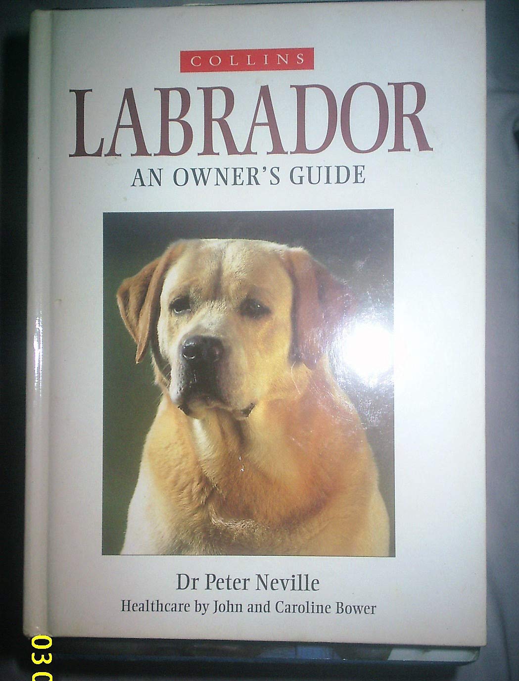 Collins Dog Owner's Guide: Labrador (Collins Dog Owner's Guides ...