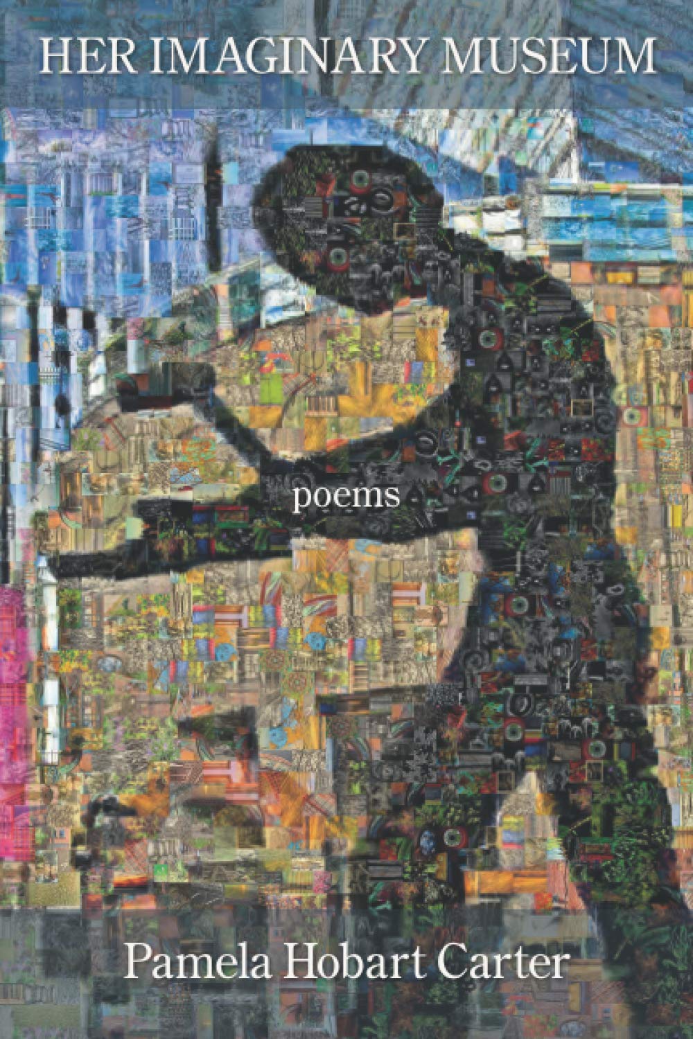Amazon.com: Her Imaginary Museum: 9781952326653: Carter, Pamela Hobart ...