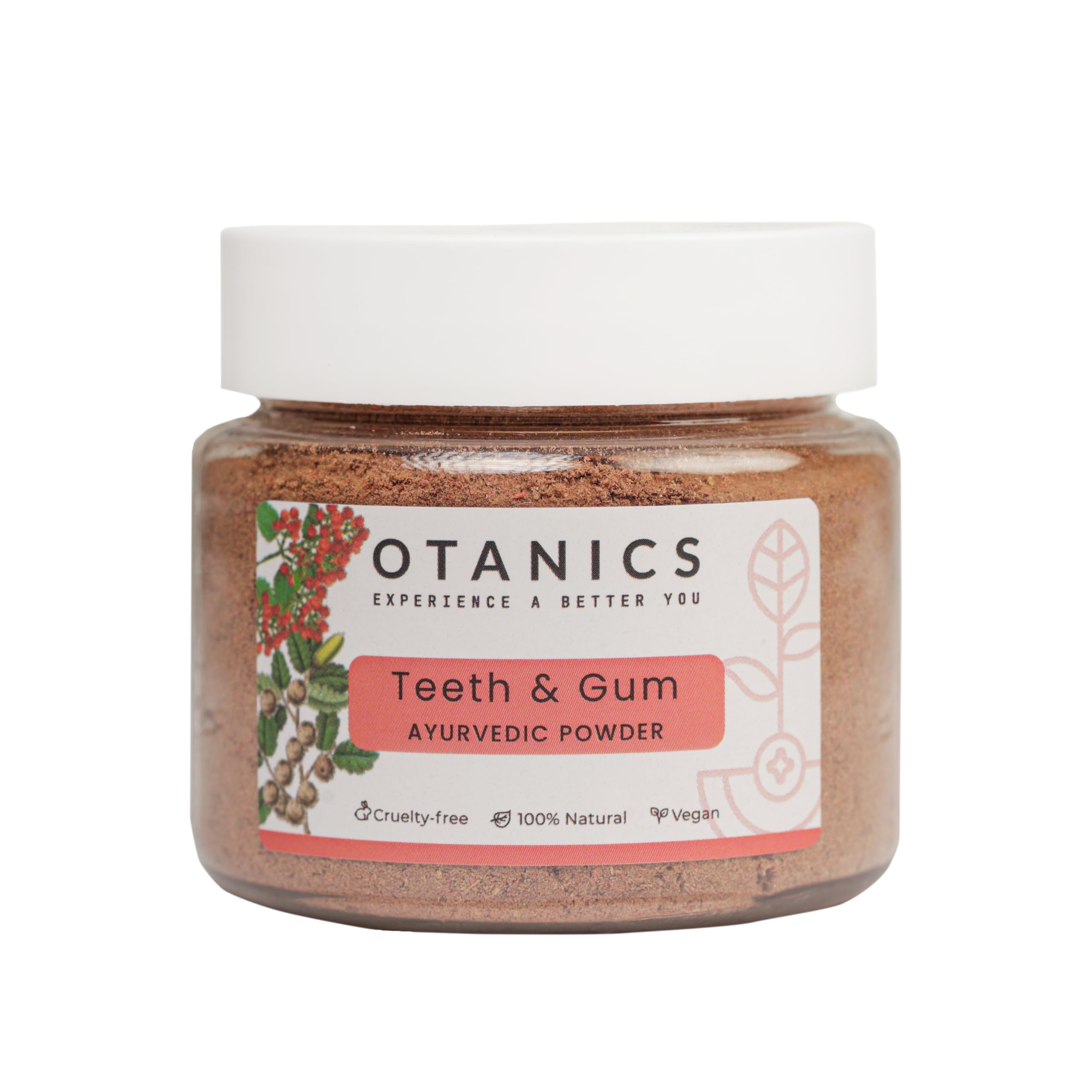 Otanics Instant Advance+ Teeth Whitening Powder | Removes Stains ...