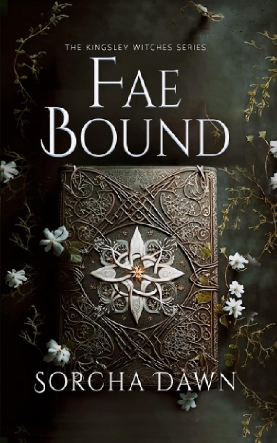 Amazon.com: Fae Bound (The Kingsley Witches): 9798376618165: Dawn ...