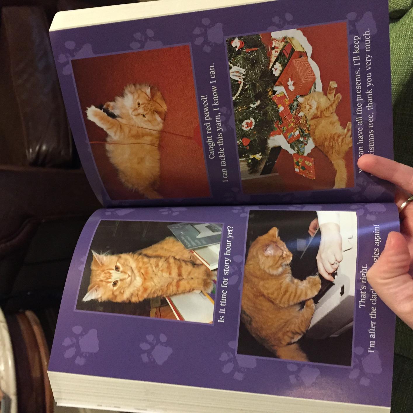 Dewey The Small-Town Library Cat Who Touched the World: Vicki Myron ...