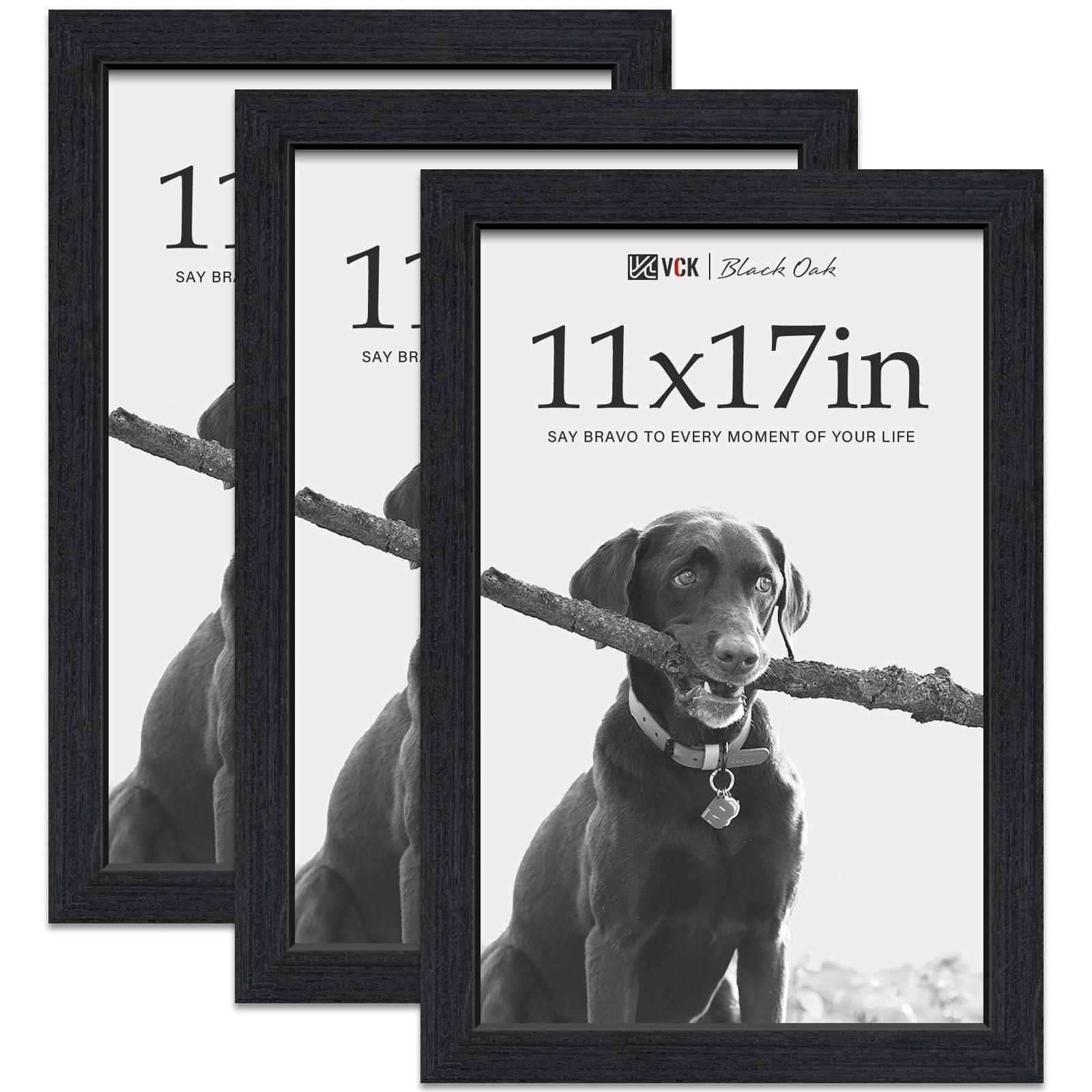 One 11x17 With Three 5x539s Collage Frame Amazon.com VCK Poster